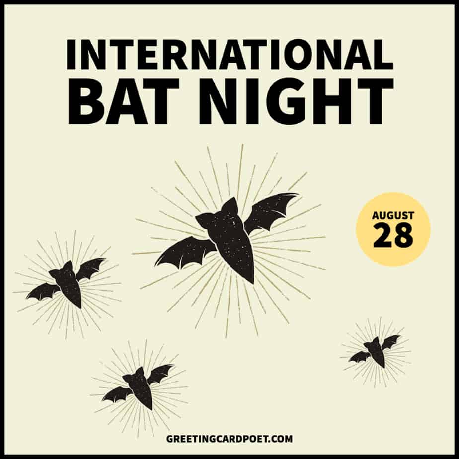 International Bat Night: Quotes, Jokes, Captions, and FAQs