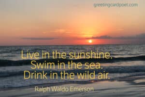 75 Relaxing Spring Break Quotes To Remind You of Fun in the Sun
