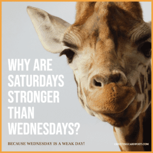 73 Funny Wednesday Jokes To Get You Over the Hump