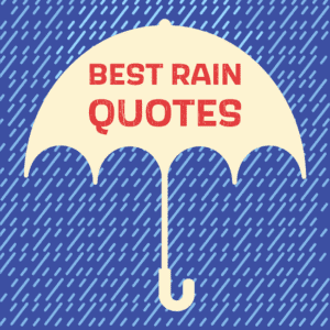 200 Best Rain Quotes To Make a Splash (and Refresh)