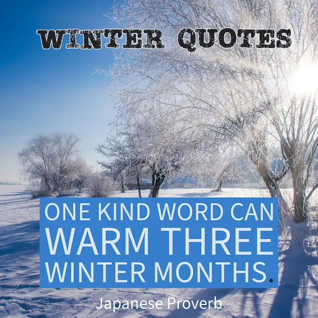 100 Best Winter Quotes To Contemplate Under a Warm Blanket