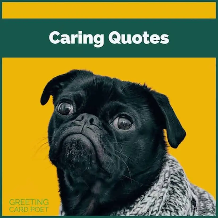 127 Best Friendship Quotes To Share With Your Pals